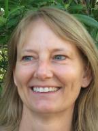 Colloquium: Banner on cytokines’ role linking the immune system to the ...